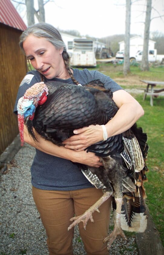 DLR Mustang Ranch seeks to help heal hearts of those suffering | News ...